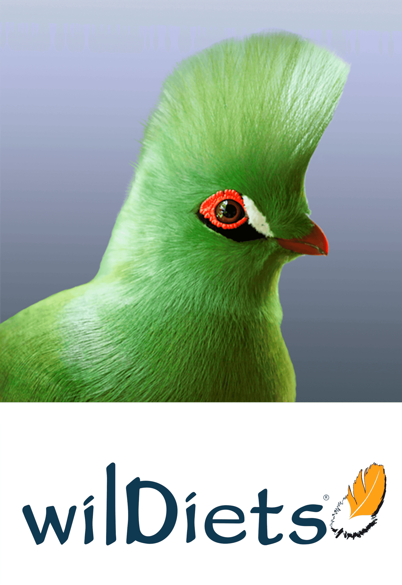 Psittacus Store USA | Official PSITTACUS USA Store